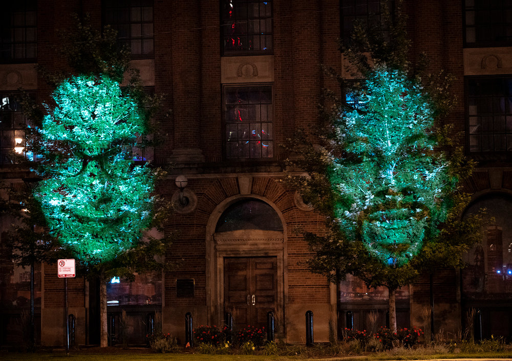NEC Takes Projection Mapping to a Whole New Level—The Trees - My ...
