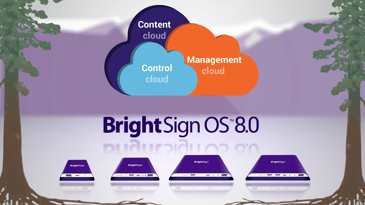 BrightSign BSN.Cloud Takes the Work Out of Large Scale Digital Signage ...